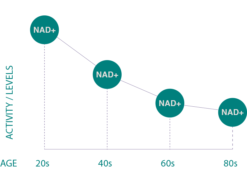 Best NMN Anti Aging Supplement in Malaysia | MotoGene
