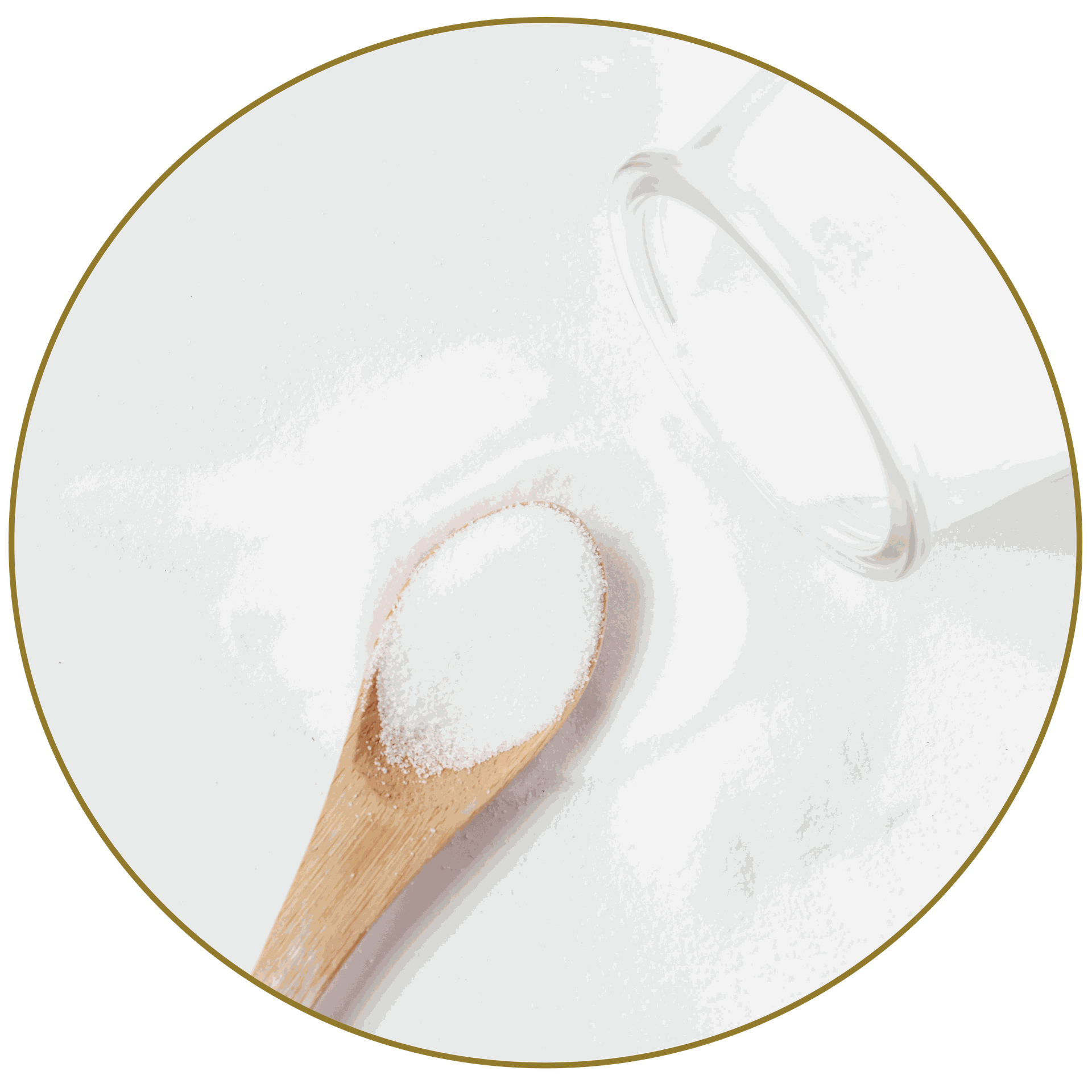 TOCOMOTO | MOTOGENE GLOBAL