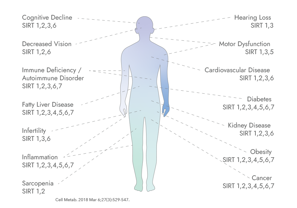 SCIENCE | MOTOGENE GLOBAL